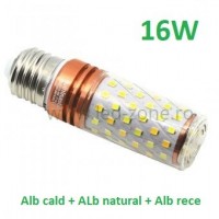 Iluminat cu LED - Becuri LED, Spoturi LED, Benzi LED | LED-ZONE